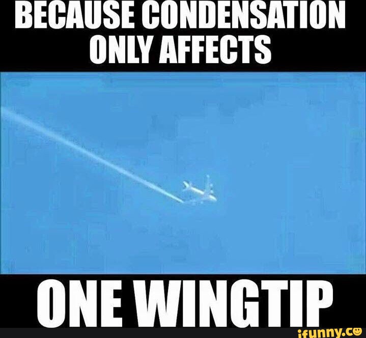 BECAUSE CONDENSATION ONLY AFFECTS ONE WINGTIP - iFunny