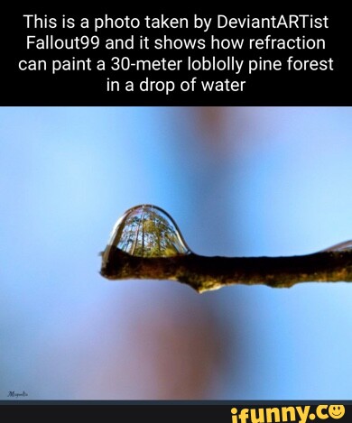 Refraction memes. Best Collection of funny Refraction pictures on iFunny