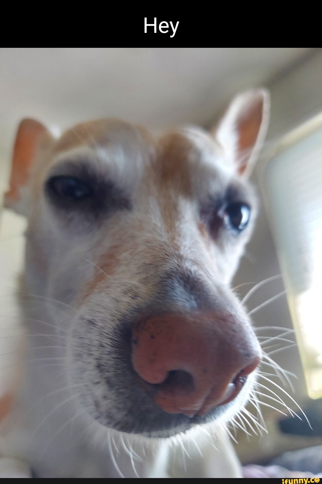 Picture memes SF5vvWF0A by jingska: 1 comment - iFunny