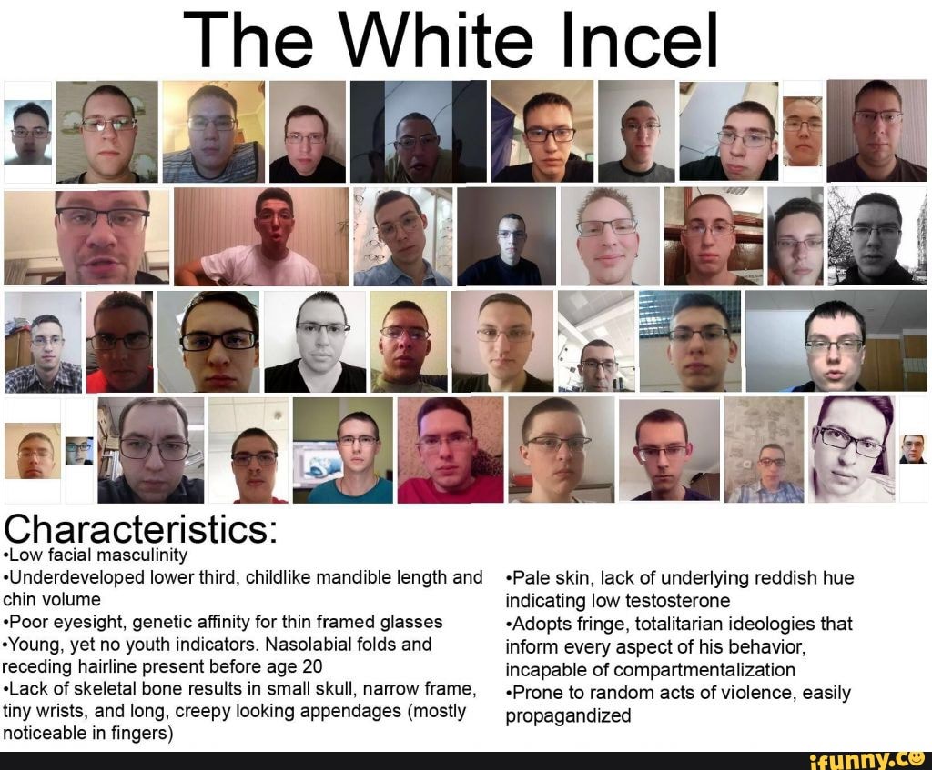 The White Incel Characteristics: Low facial masculinity +Underdeveloped ...