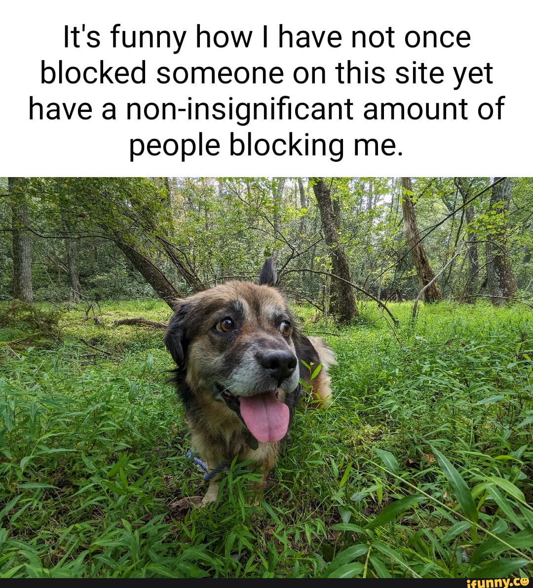 Nsignitt memes. Best Collection of funny Nsignitt pictures on iFunny