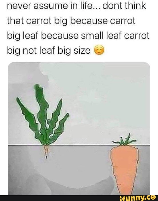 Never assume in life... dont think that carrot big because carrot big ...