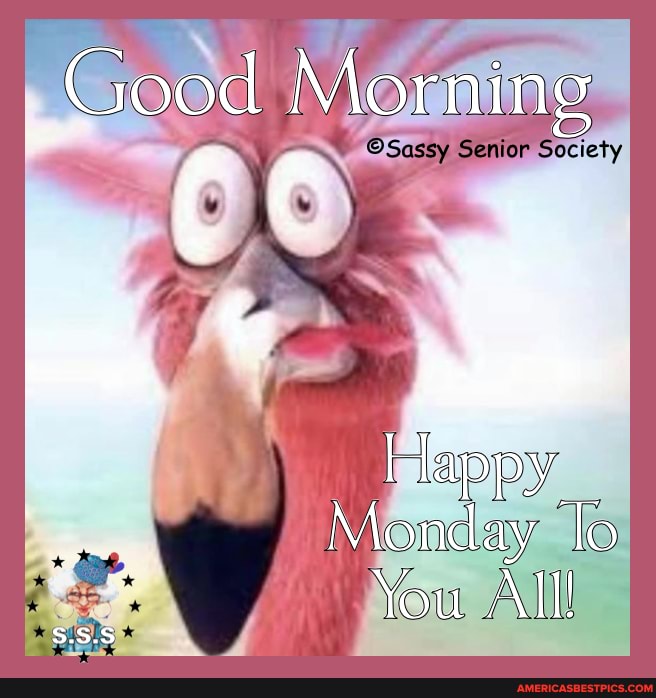 Happy Monday Face! @Sassy Senior Society SASy ~K - _Good Morning nn ...