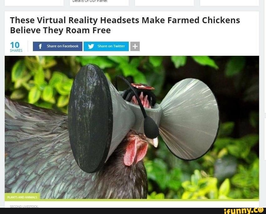 These Virtual Reality Headsets Make Farmed Chickens Believe They Roam ...