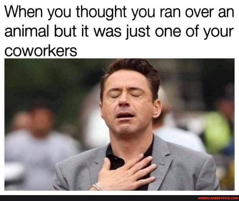 When you thought you ran over an animal but it was just one of your ...