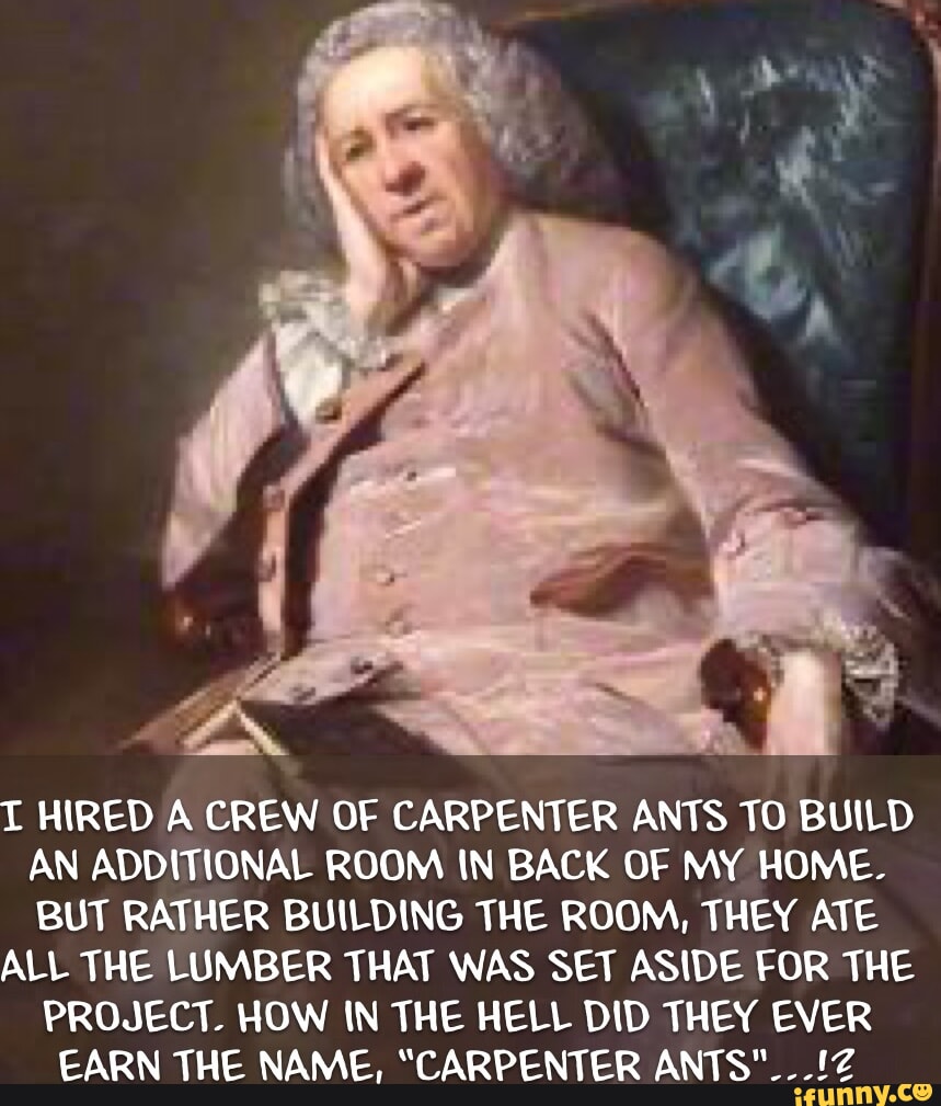 Lumber memes. Best Collection of funny Lumber pictures on iFunny