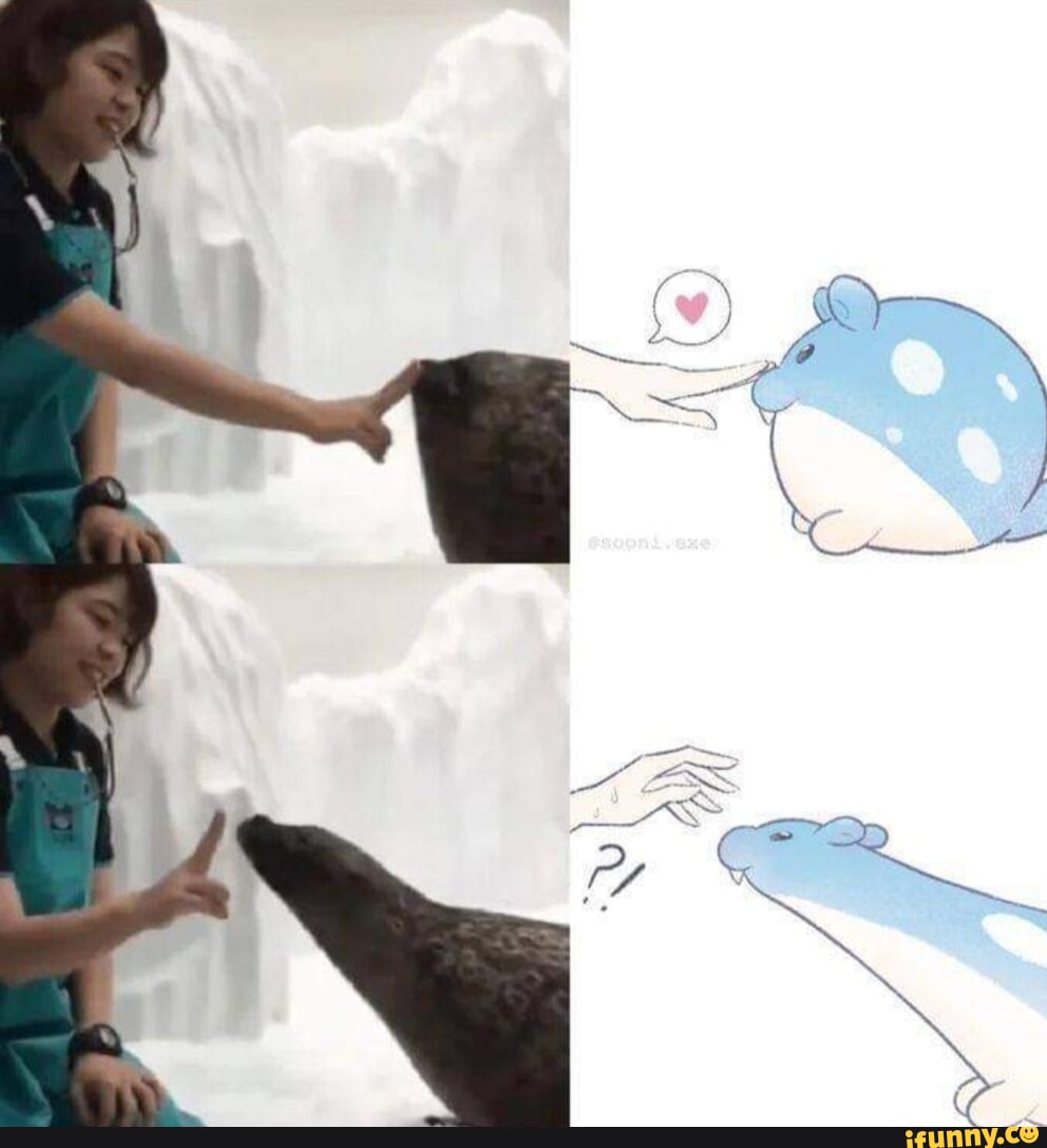 Spheal memes. Best Collection of funny Spheal pictures on iFunny