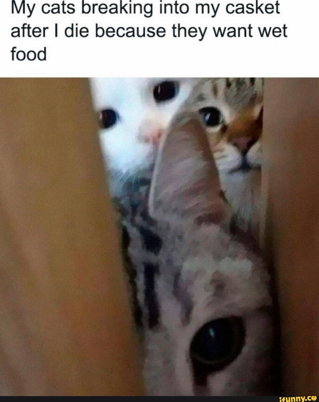 Casket memes. Best Collection of funny Casket pictures on iFunny