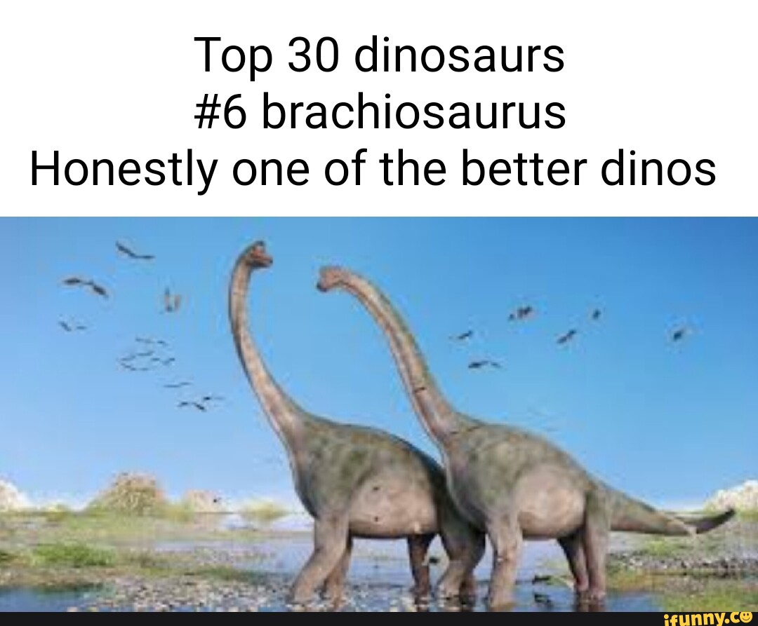 Brachiosaurus memes. Best Collection of funny Brachiosaurus pictures on ...