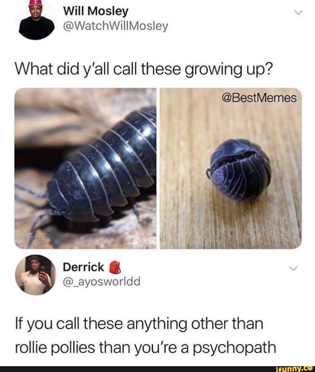 If you call these anything other than rollie pollies than you’re a ...