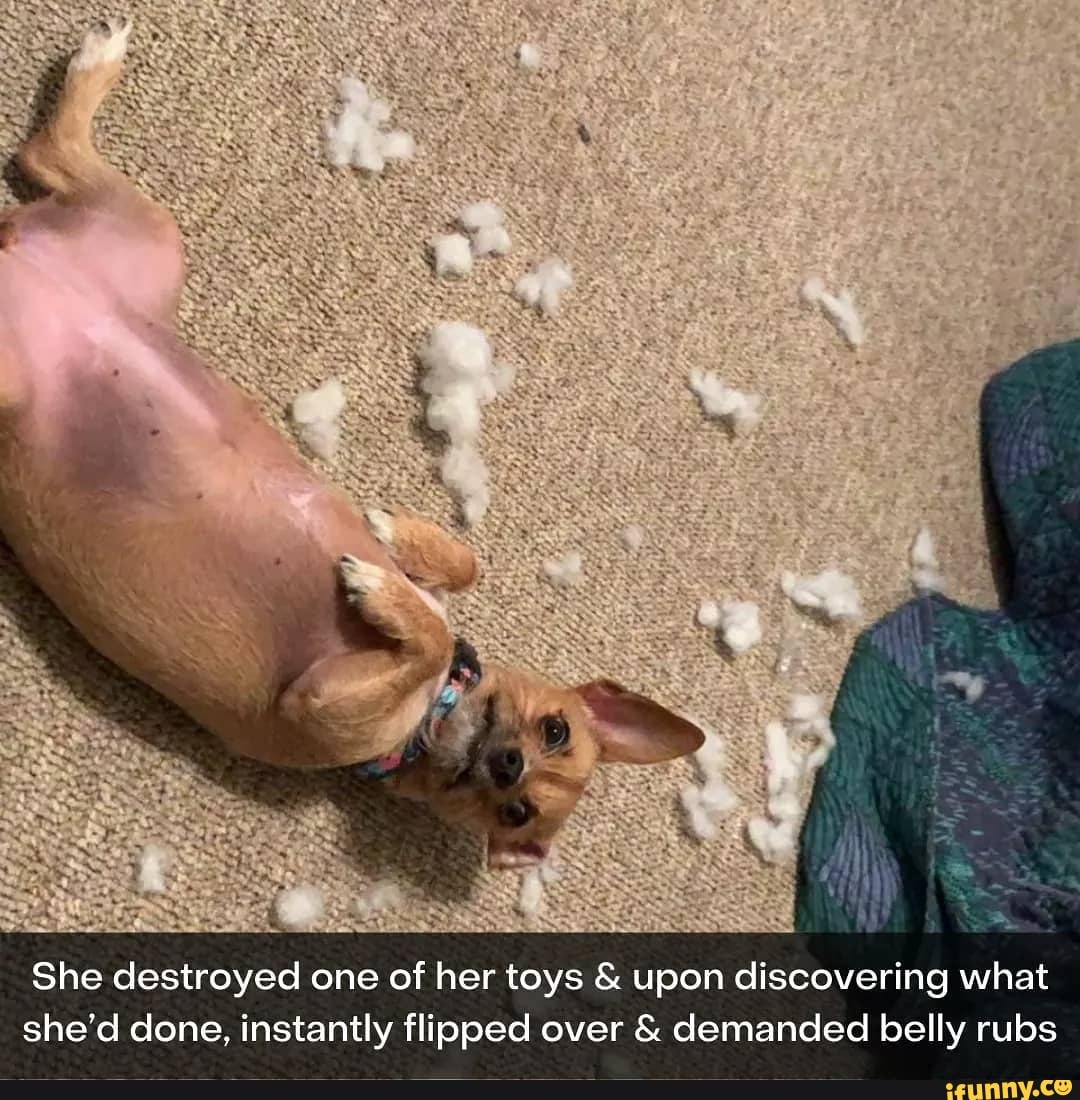 She destroyed one of her toys & upon discovering what she'd done ...