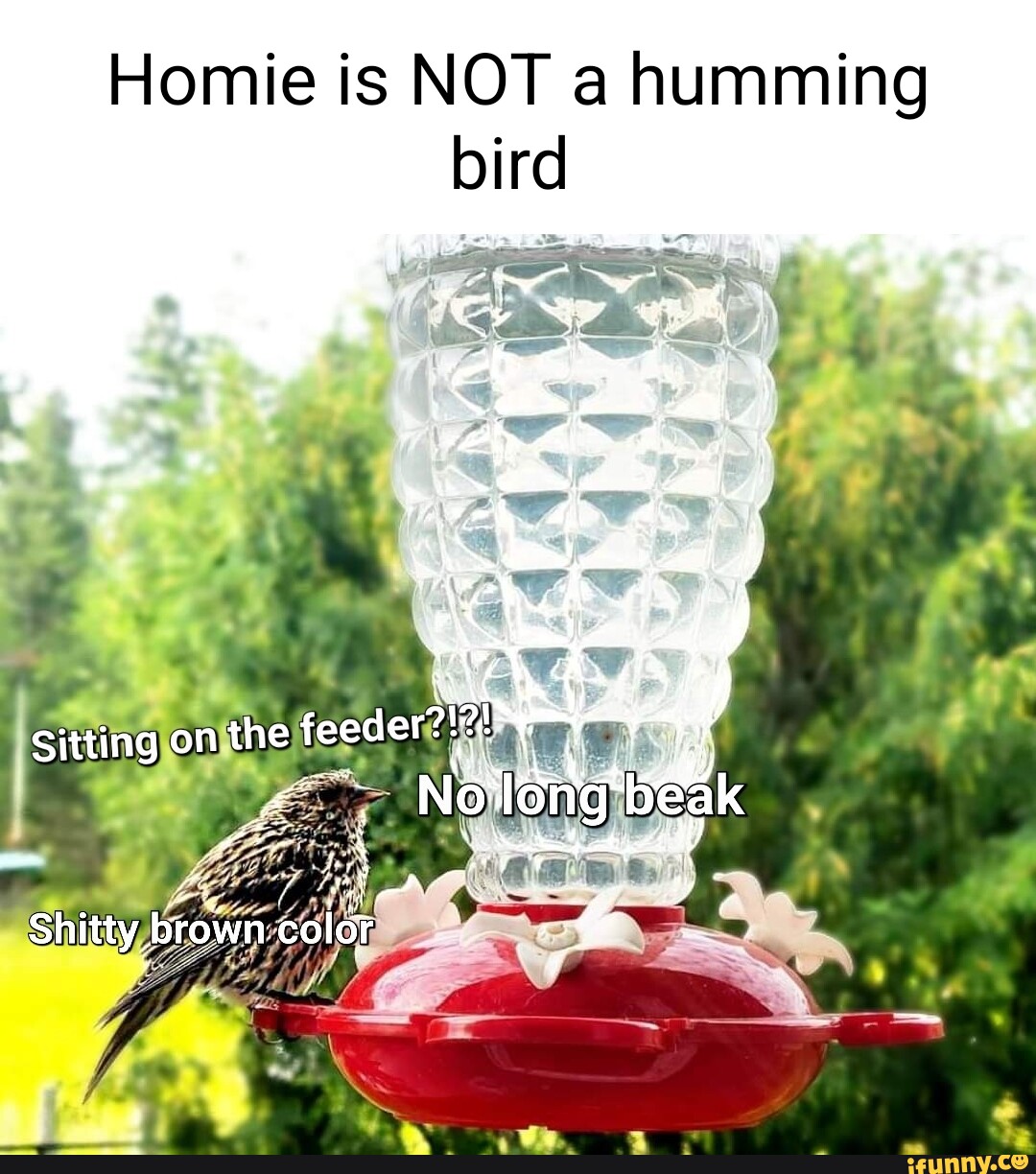 Humming memes. Best Collection of funny Humming pictures on iFunny