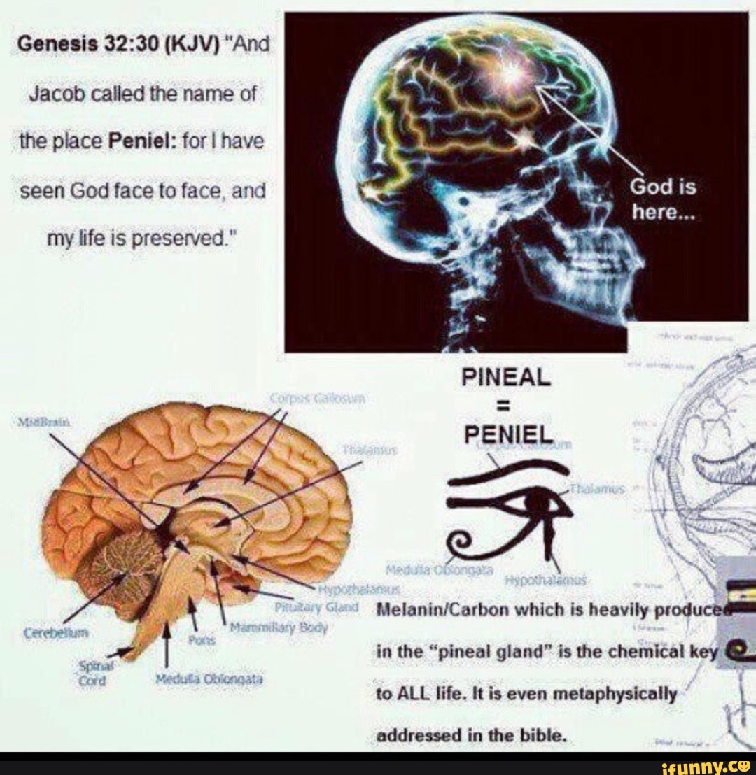 Genesis (KJV) "And Jacob called the name of the place Peniel: for I ...