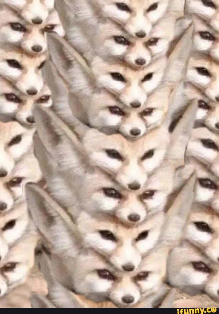 Fennec_fox memes. Best Collection of funny Fennec_fox pictures on iFunny