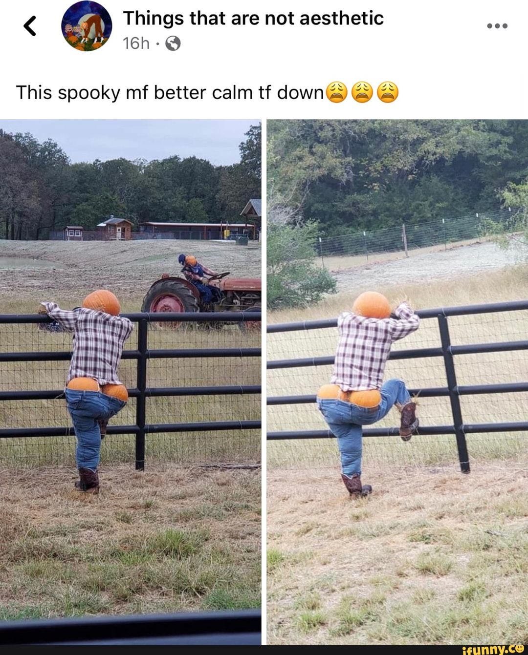 Things that are not aesthetic This spooky mf better calm tf down@@@ oI ...
