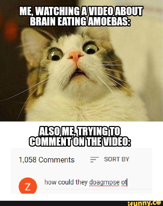 Brain_eating_amoeba memes. Best Collection of funny Brain_eating_amoeba ...