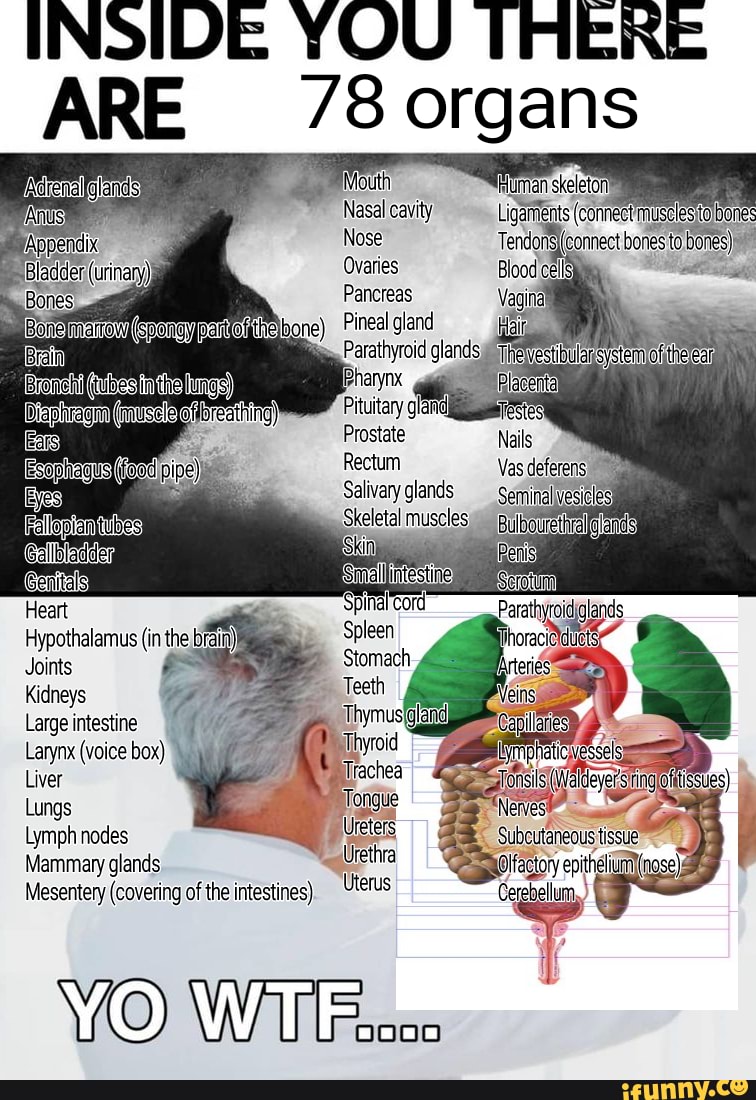 Tostate memes. Best Collection of funny Tostate pictures on iFunny