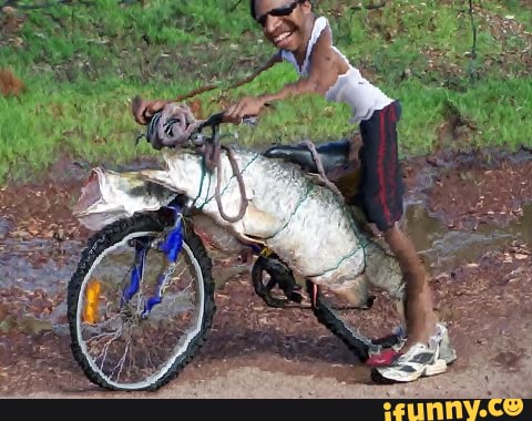 Cursed_fish memes. Best Collection of funny Cursed_fish pictures on iFunny