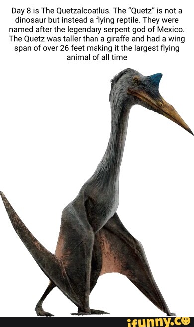 Day 8 is The Quetzalcoatlus. The "Quetz" is not a dinosaur but instead ...