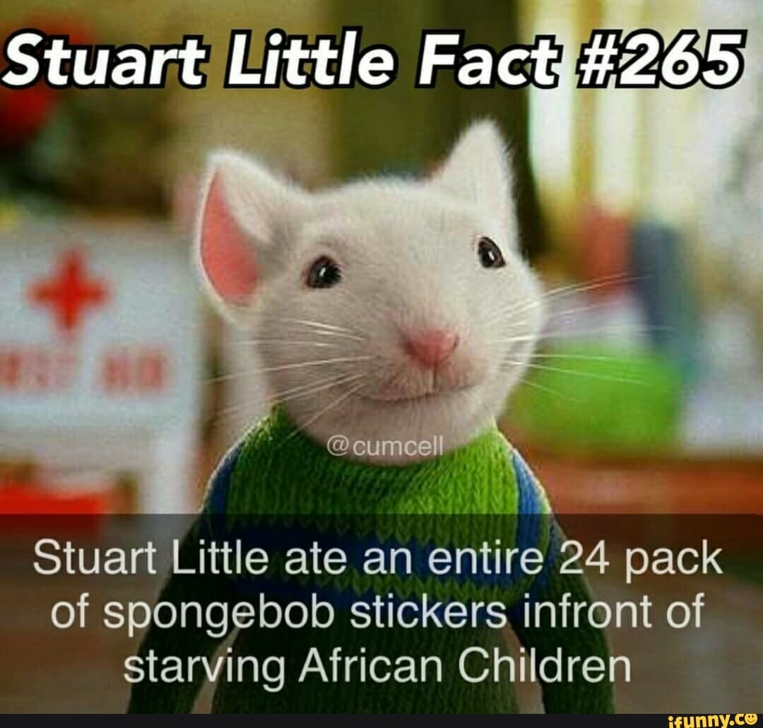 Stuart Little ate an entire 24 pack of spongebob stickers infront of ...