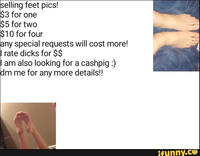 Cashpig memes. Best Collection of funny Cashpig pictures on iFunny