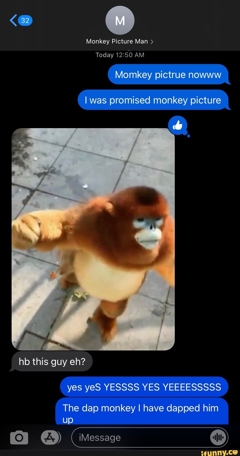 Pictrue memes. Best Collection of funny Pictrue pictures on iFunny