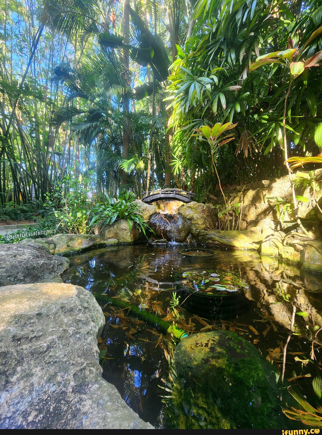 Sunken memes. Best Collection of funny Sunken pictures on iFunny