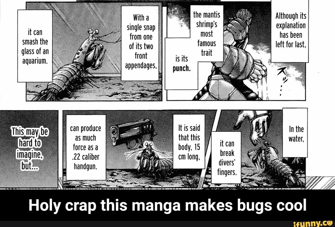 Terraformars memes. Best Collection of funny Terraformars pictures on ...