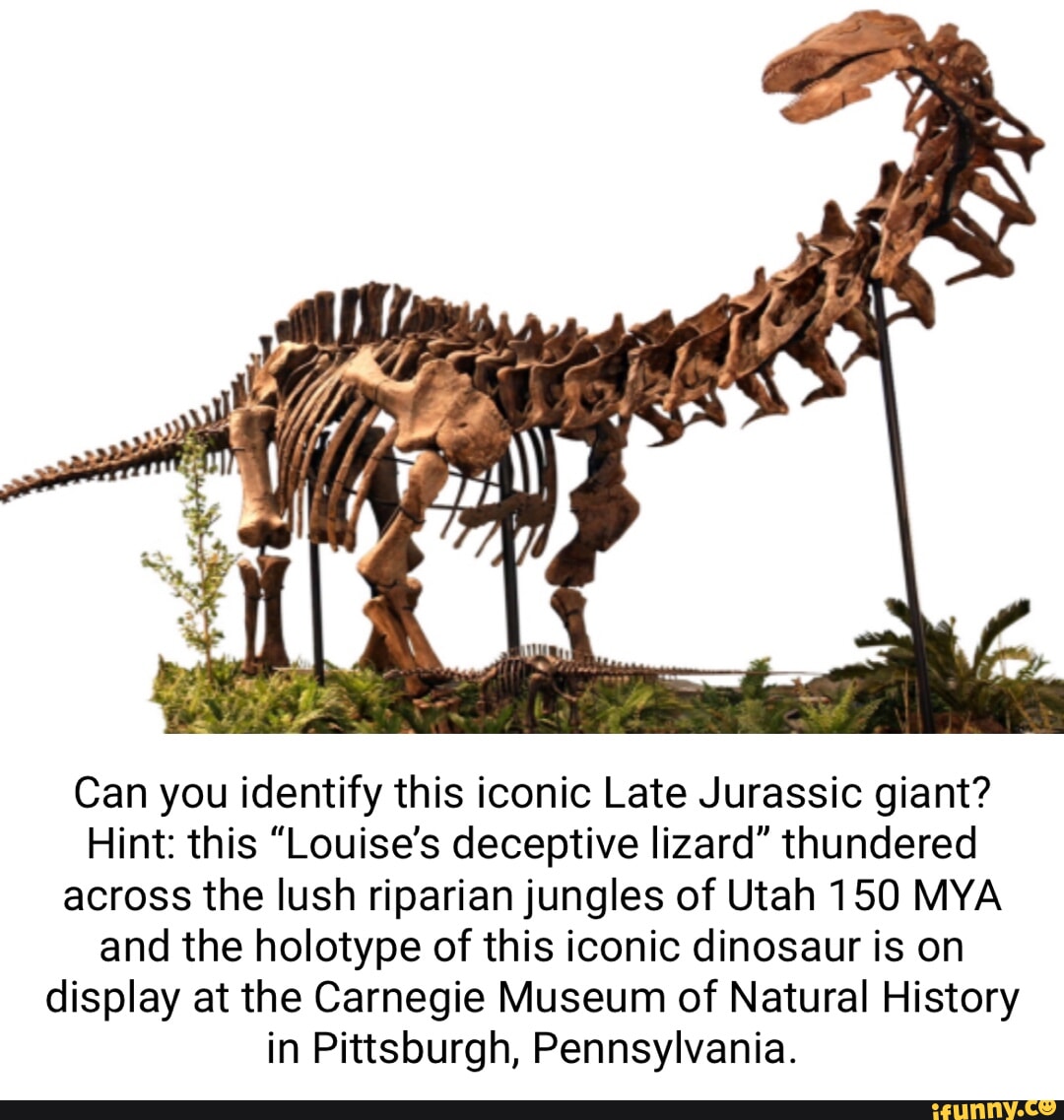 Can you identify this iconic Late Jurassic giant? Hint: this "Louise's ...