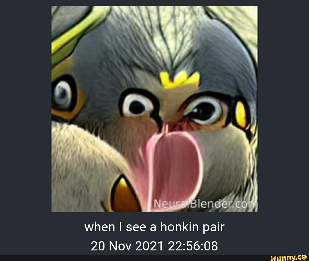 Bazoongas memes. Best Collection of funny Bazoongas pictures on iFunny