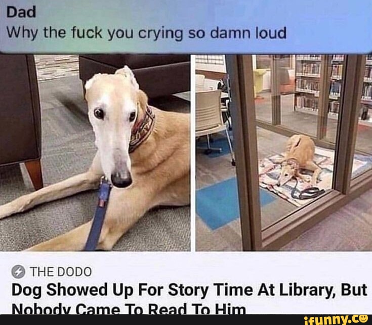 Dad Why the fuck you crying so damn loud @ THE DODO Dog Showed Up For ...