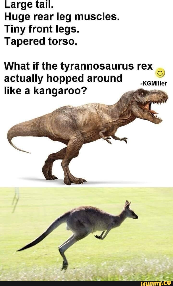 Large tail. Huge rear leg muscles. Tiny front legs. Tapered torso. What ...