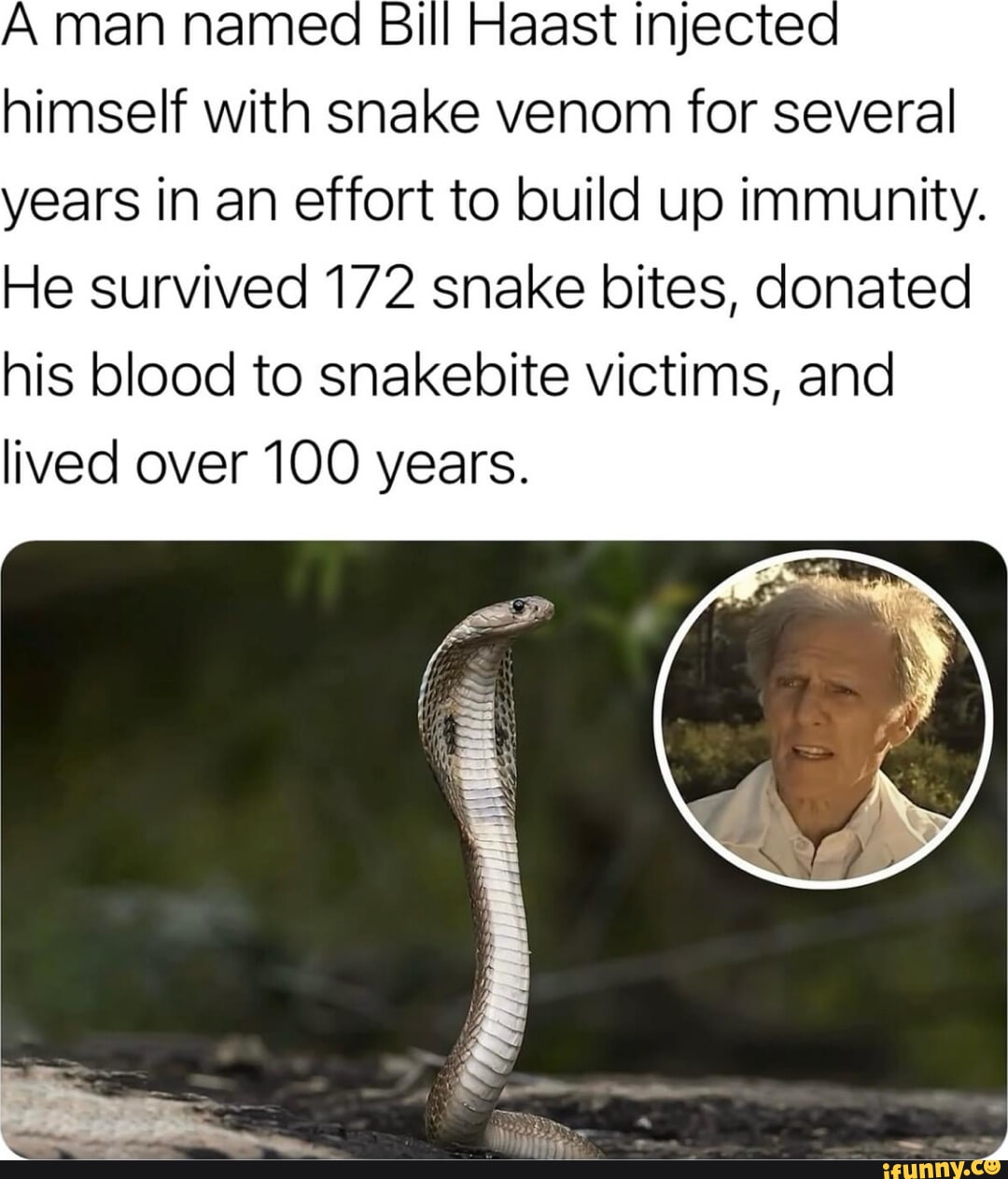 A man named Bill Haast injected himself with snake venom for several ...