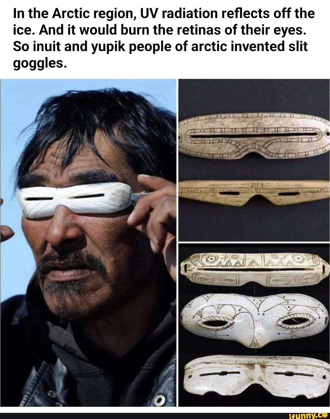 In the Arctic region, UV radiation reflects off the ice. And it would ...