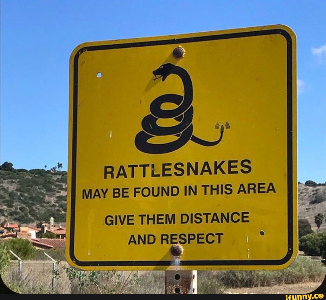 Rattlesnakes memes. Best Collection of funny Rattlesnakes pictures on ...