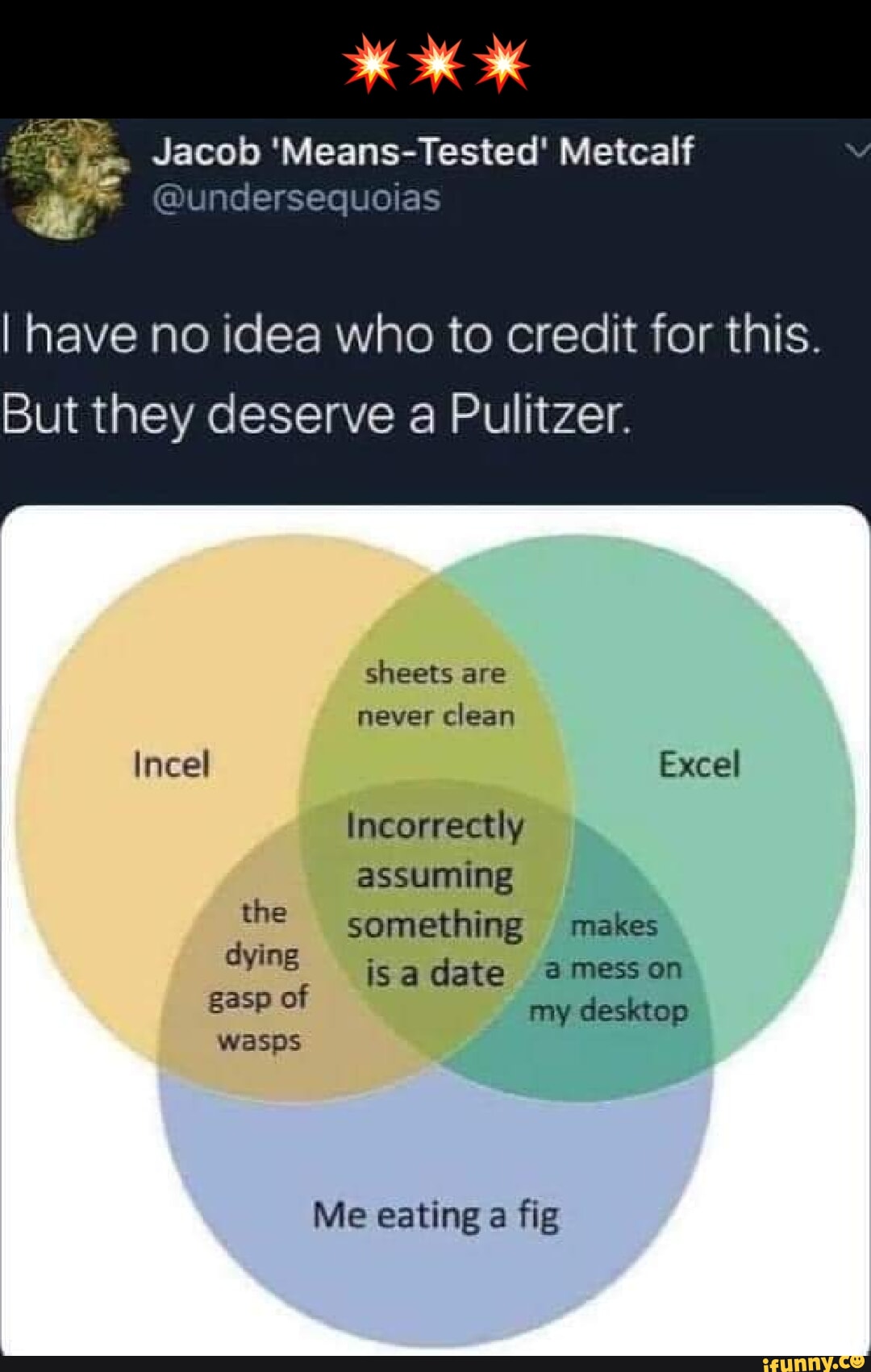 Wasps memes. Best Collection of funny Wasps pictures on iFunny