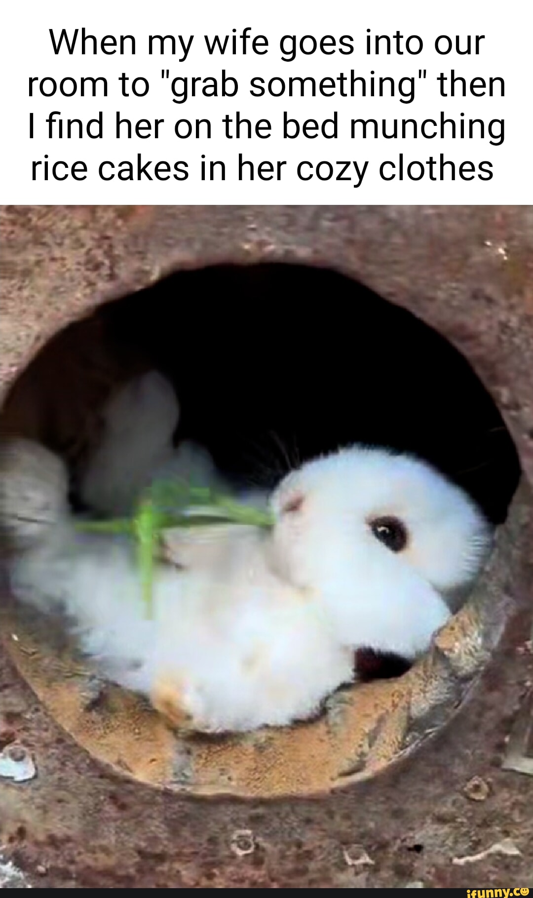 Munching memes. Best Collection of funny Munching pictures on iFunny