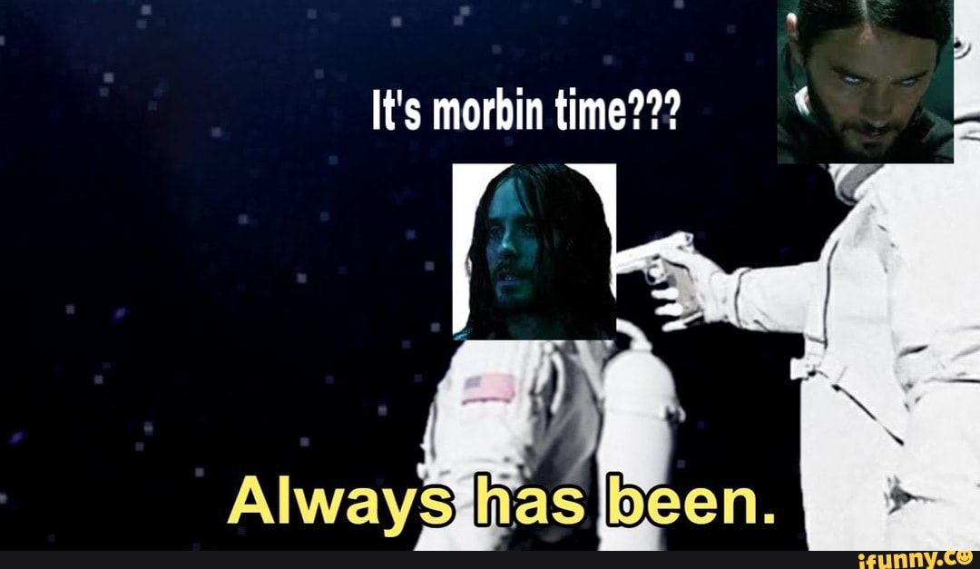 Amorbus memes. Best Collection of funny Amorbus pictures on iFunny