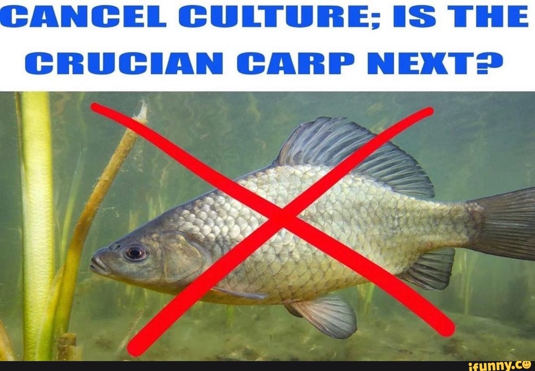 Crucian memes. Best Collection of funny Crucian pictures on iFunny