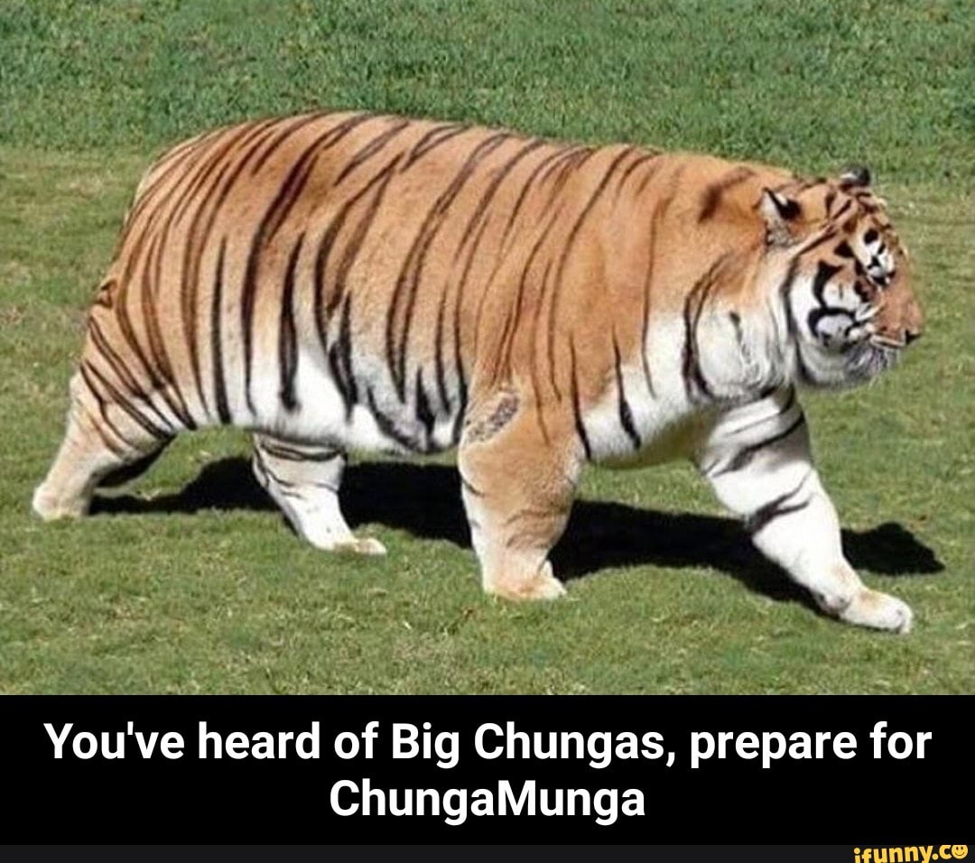 You've heard of Big Chungas, prepare for ChungaMunga - You've heard of ...