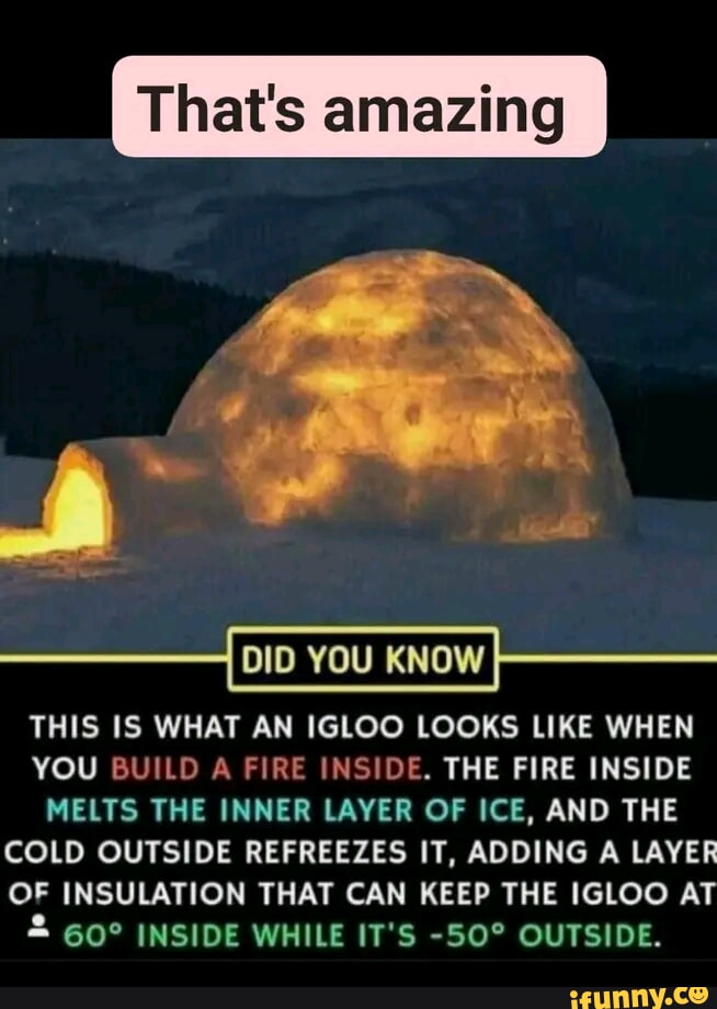 When the egg hatches and it's a shiny: - iFunny