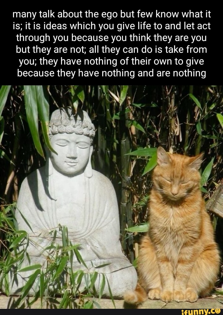 Many talk about the ego but few know what it is; it is ideas which you ...