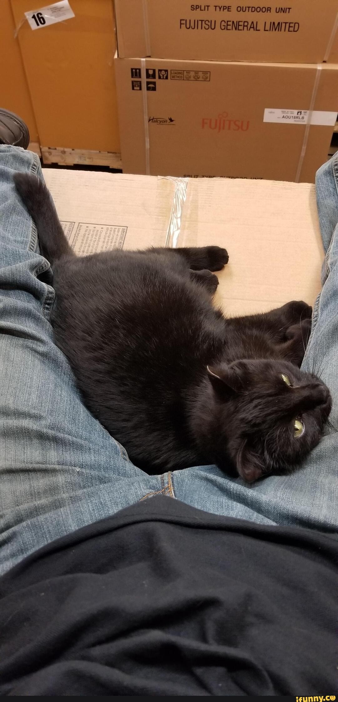 Fujitsu memes. Best Collection of funny Fujitsu pictures on iFunny