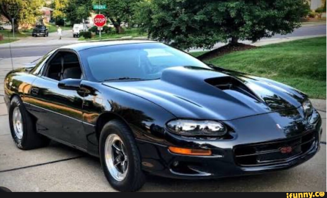 Catfish memes. Best Collection of funny Catfish pictures on iFunny