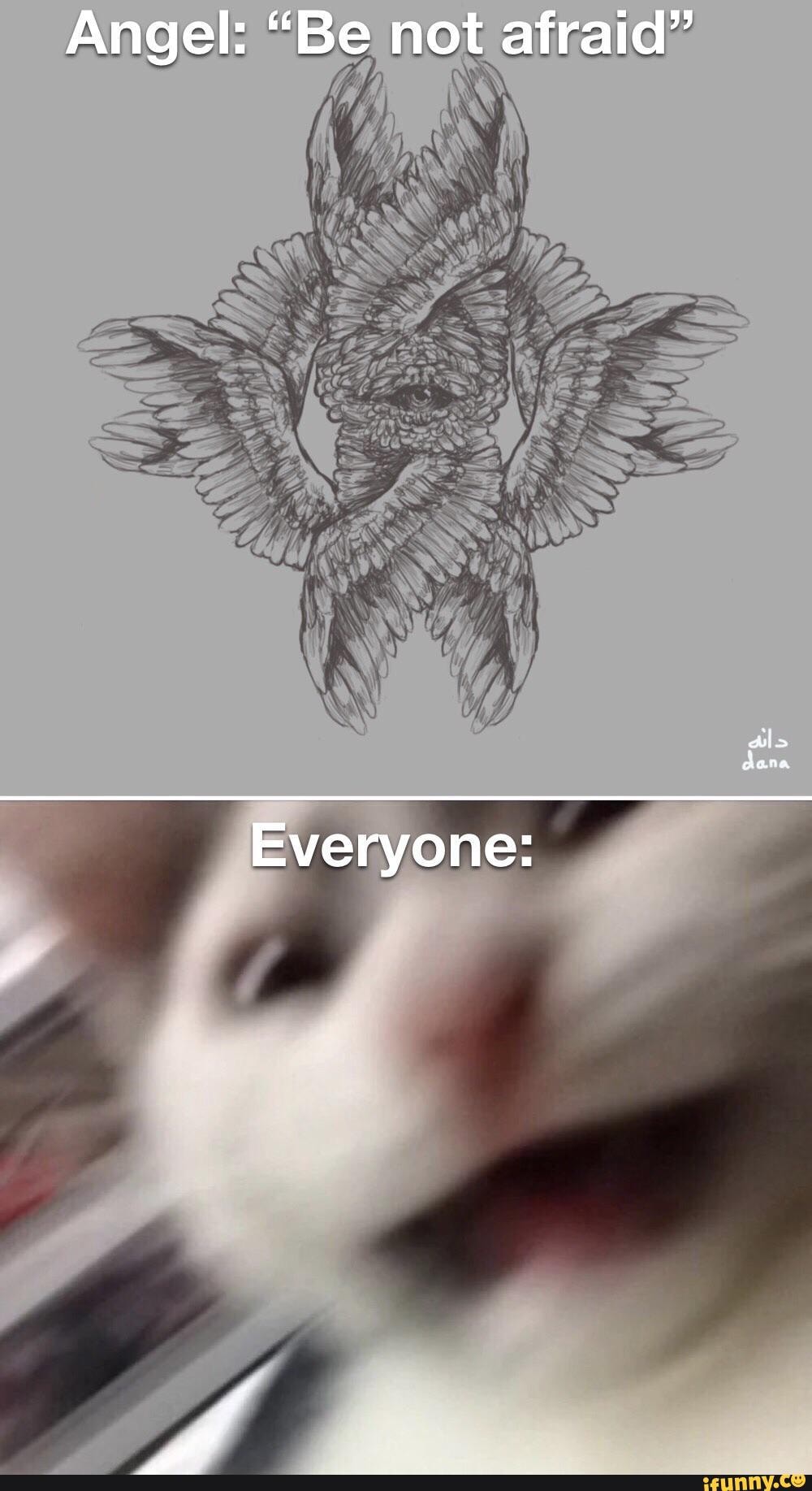 Angel: "Be not afraid" dana Everyone: - iFunny