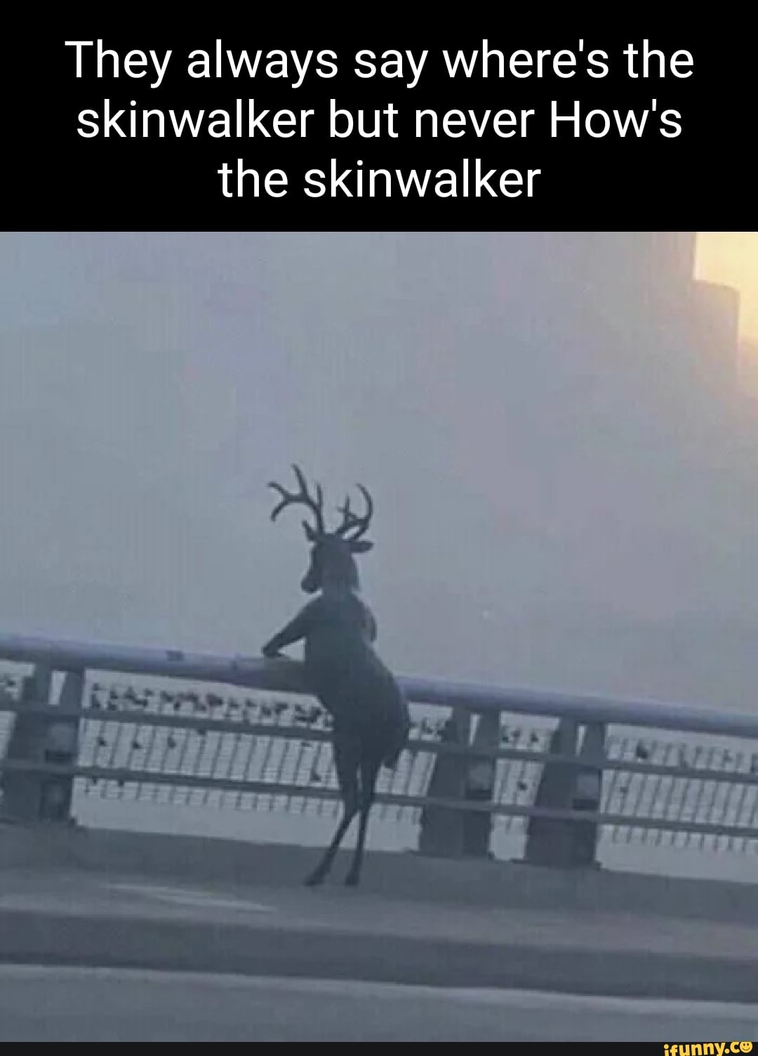 They always say where's the skinwalker but never How's the skinwalker ...