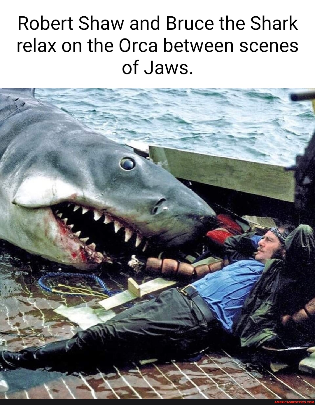 Robert Shaw and Bruce the Shark relax on the Orca between scenes of ...