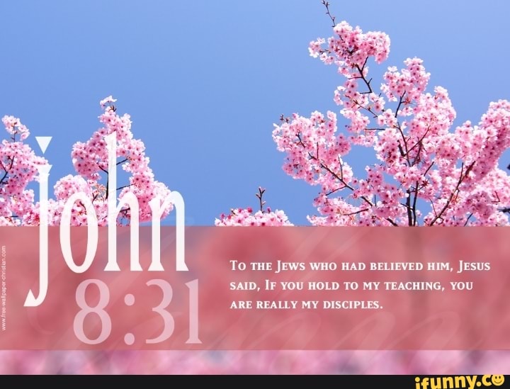 To THE JEWS WHO HAD BELIEVED HIM JESUS SAID IF YOU HOLD TO MY to-the-jews-who-had-believed-him-jesus-said-if-you-hold-to-my