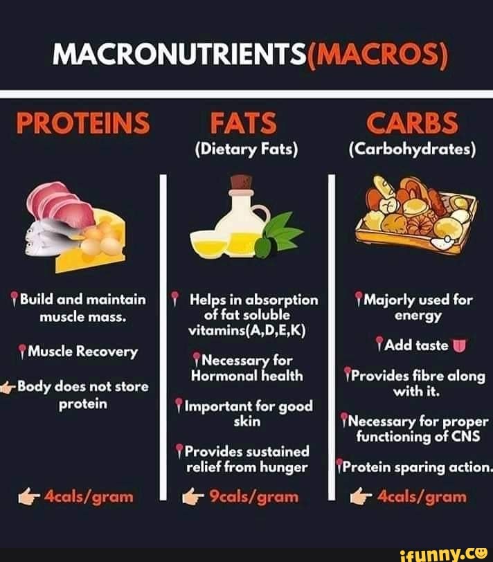Macronutrients memes. Best Collection of funny Macronutrients pictures ...