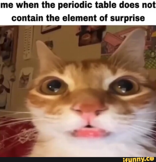 The Coloest Ifunny